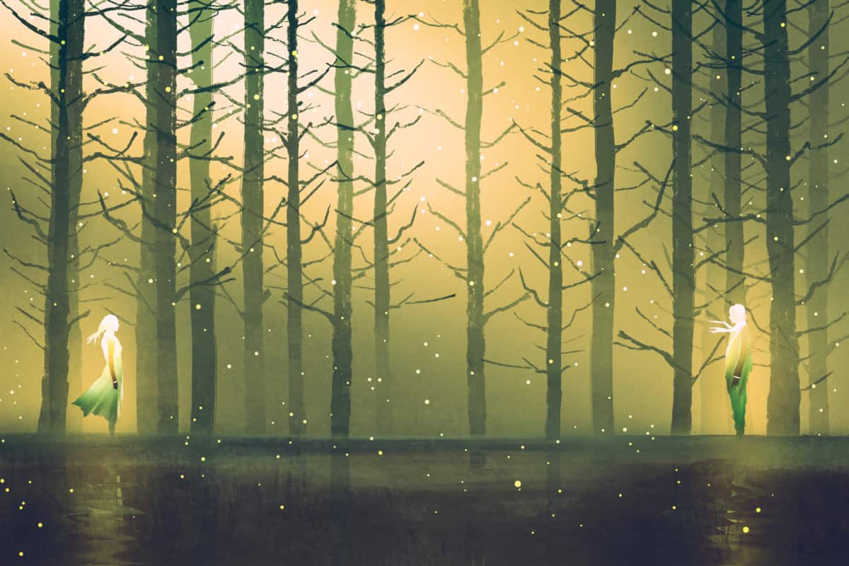 5 Best Fantasy Books With Romances With Elves | N.S Mirage