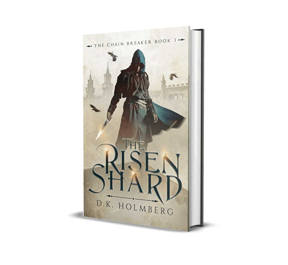 Top 25 Fantasy Books With Assassins You Must Read | N.S Mirage